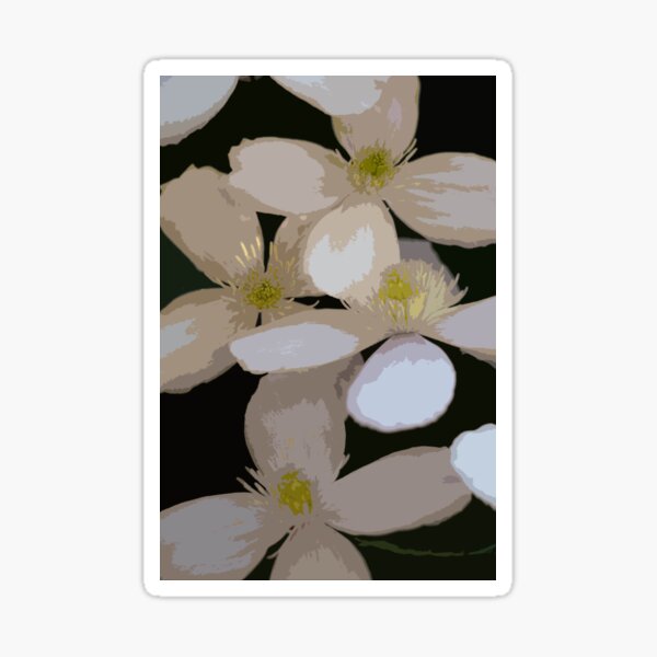 "Golden Clematis" Sticker by sarahfmorris | Redbubble
