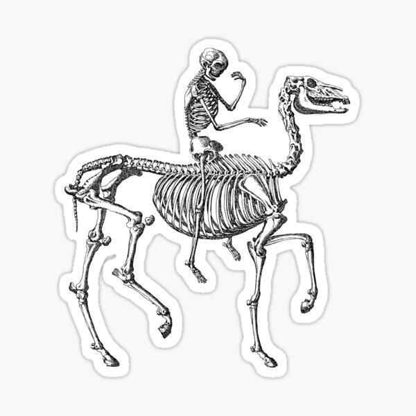 "Grim Rider - Dark Macabre" Sticker for Sale by BOHEMIASMA | Redbubble