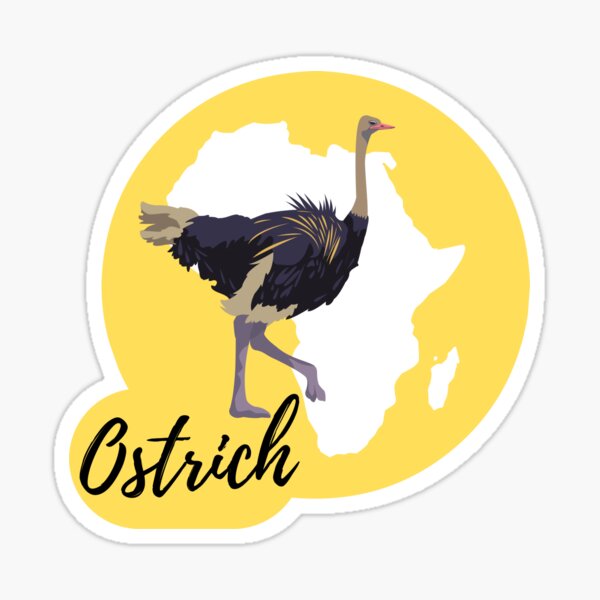 "Ostrich" Sticker for Sale by NatureVenue | Redbubble