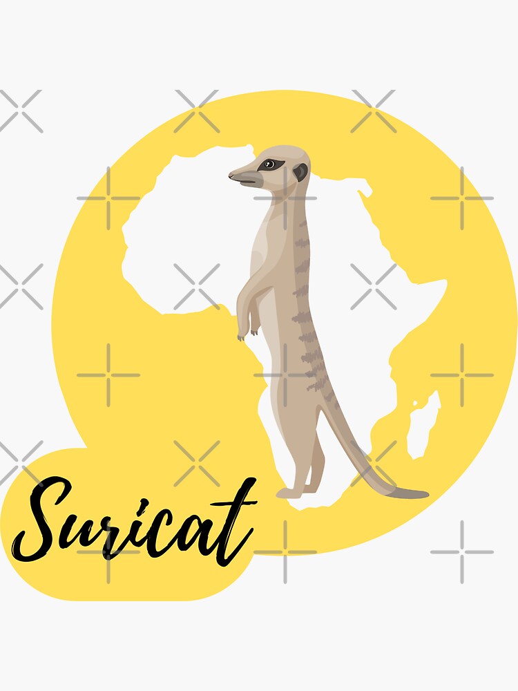 "Suricat" Sticker for Sale by NatureVenue | Redbubble