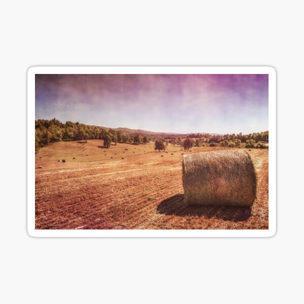 "May Hay Day" Sticker by butterbean57 | Redbubble