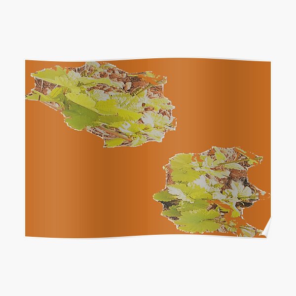 "Shard of vine leaves" Poster by OrtensiaKanhan | Redbubble