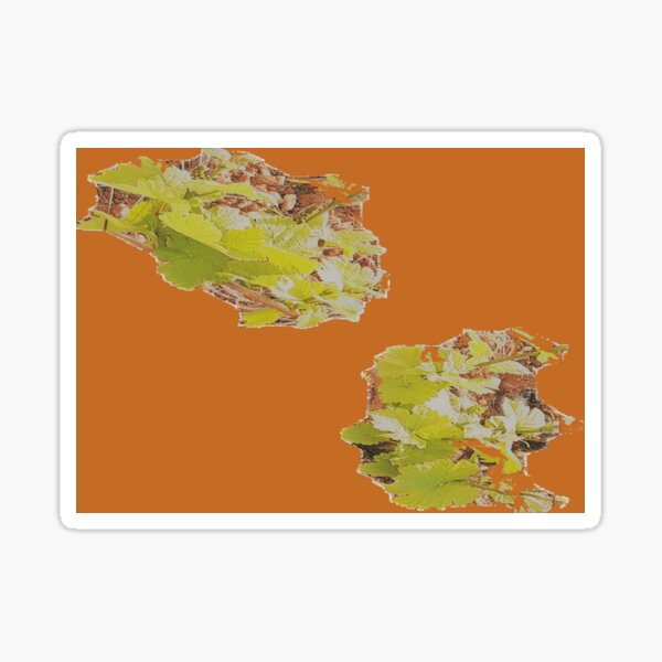 "Shard of vine leaves" Sticker by OrtensiaKanhan | Redbubble