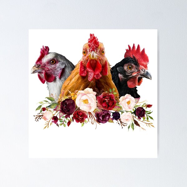 "Trio chickens." Poster for Sale by LifeandRoad | Redbubble