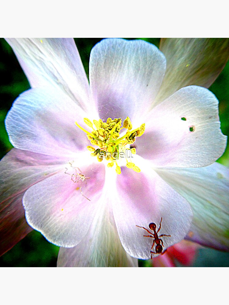 "Little specs" Sticker by angel1 | Redbubble