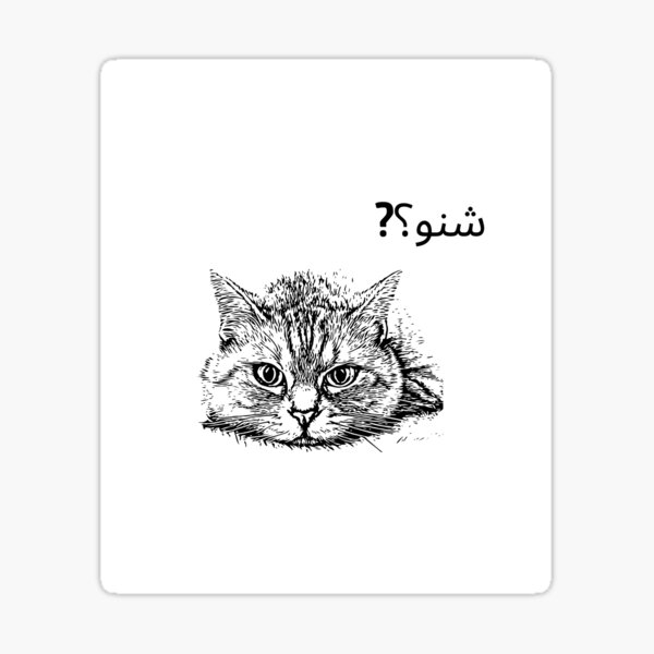 "Cat says what in arabic -Cat lover" Sticker for Sale by BeigeLine ...