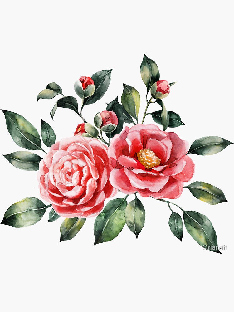 "Pretty vintage rose bouquet and gingham, cottagecore aesthetic ...