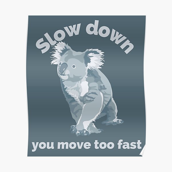 "Koala Slow Down" Poster for Sale by unhingedheather | Redbubble