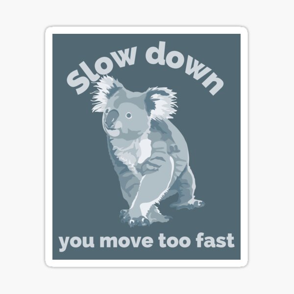 "Koala Slow Down" Sticker by unhingedheather | Redbubble