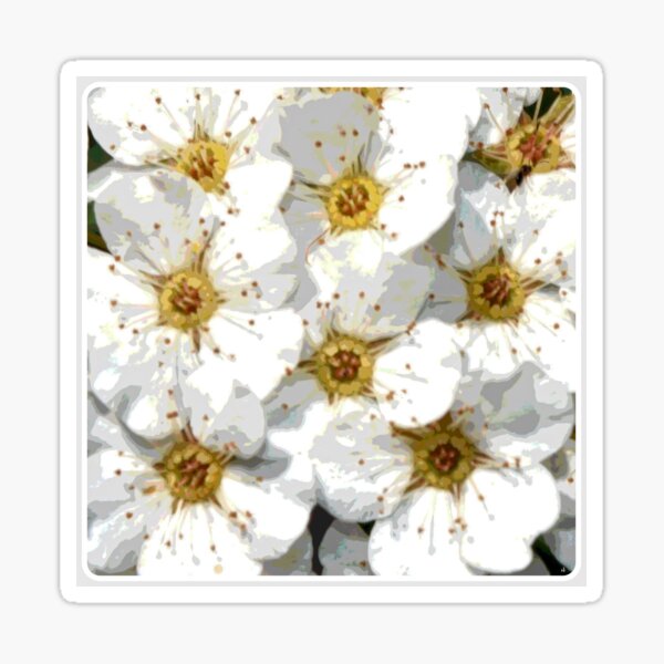 "Vintage Inspired White Flowers " Sticker for Sale by TruDesigns ...
