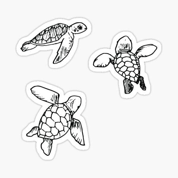 "Baby Turtle Pack | Sea Turtles" Sticker for Sale by EPOOCH | Redbubble