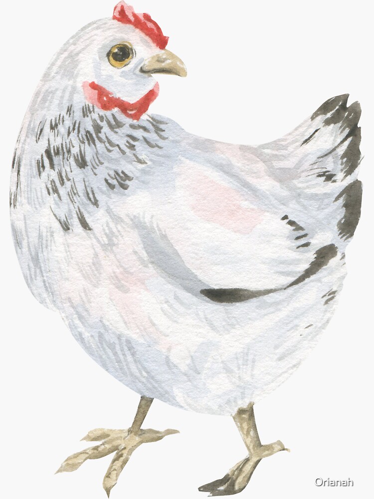 "Beautiful hen and rooster, florals and gingham, cottagecore aesthetic ...