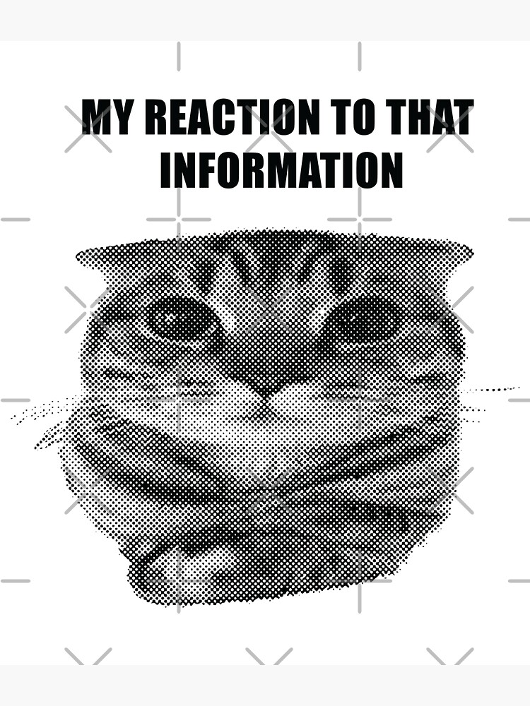  My Reaction To That Information Cat Meme on White Sticker For Sale By Rzera Redbubble