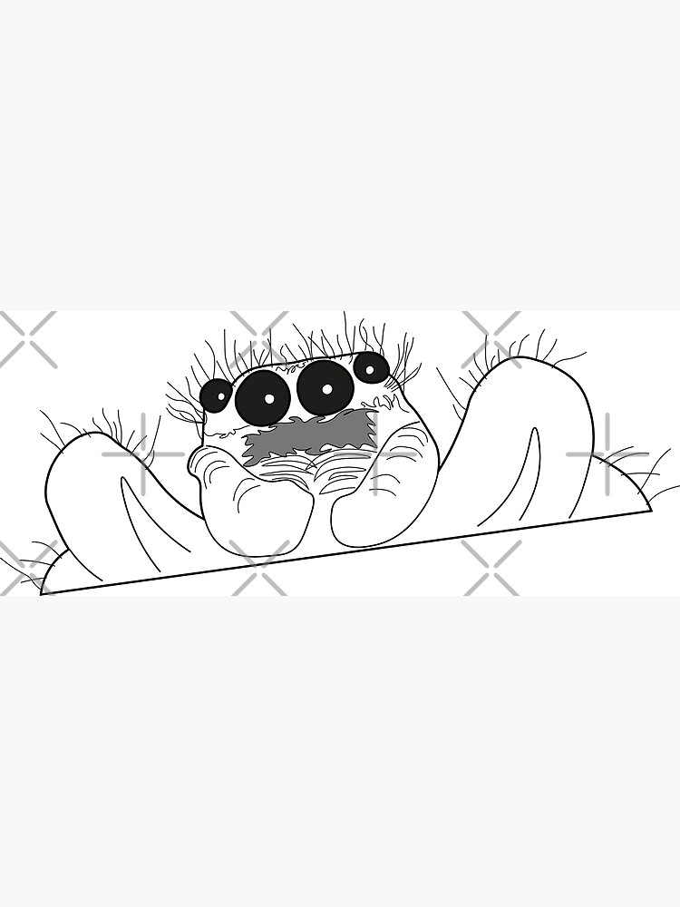 "Marpissa muscosa bark jumping spider female (Salticidae)" Poster for ...