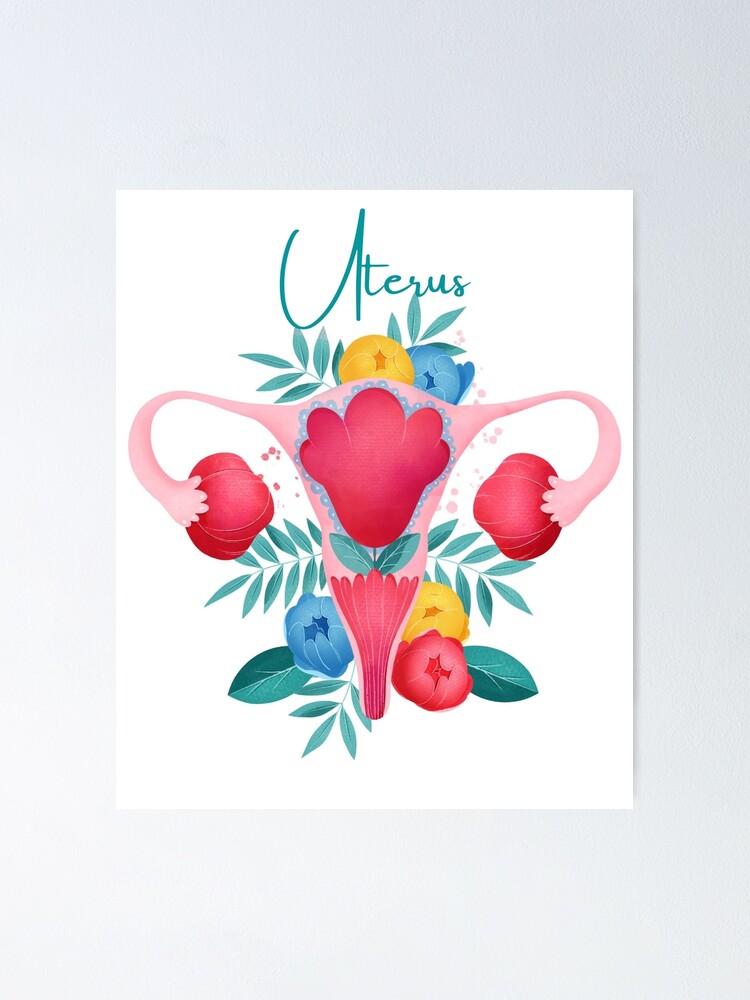 "Floral Design Female Reproductive System Vector" Poster for Sale by ...
