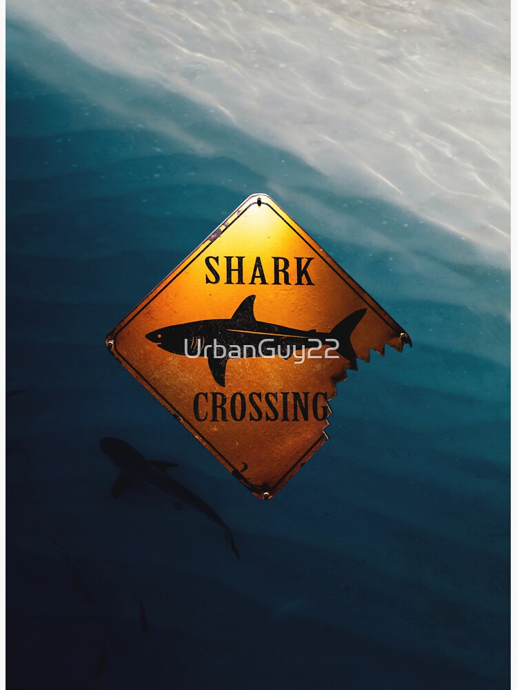 "Shark Crossing " Sticker for Sale by UrbanGuy22 | Redbubble