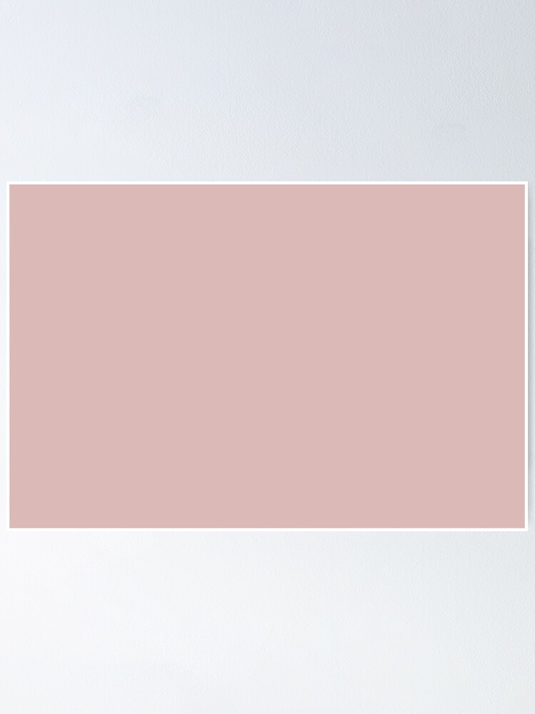 "Sandy Pastel Pink Solid Color Pairs PPG Rose Hip PPG1055-3 - All One ...