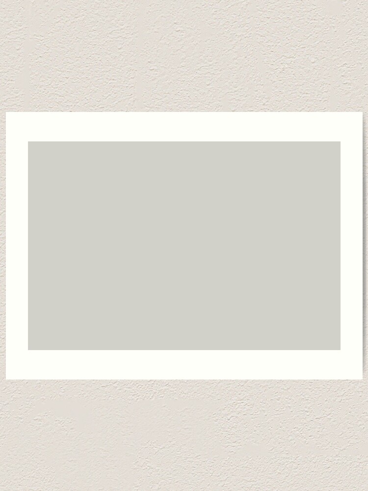 "Stormy Light Gray Grey Solid Color Pairs PPG Ancient Cloud PPG0995-2 ...