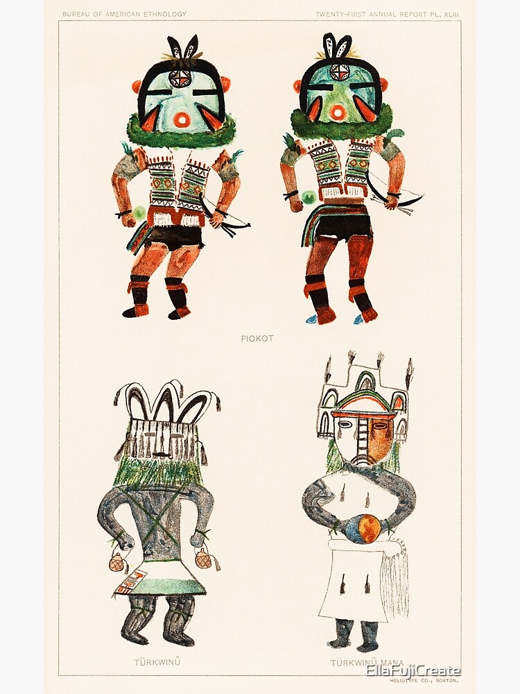 "indigenous drawings" Poster for Sale by EllaFujiCreate | Redbubble