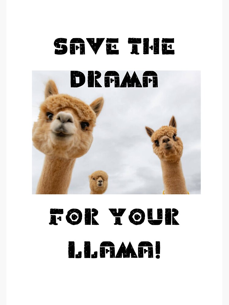 "Save the drama for your Llama" Sticker for Sale by siobhanwyman ...