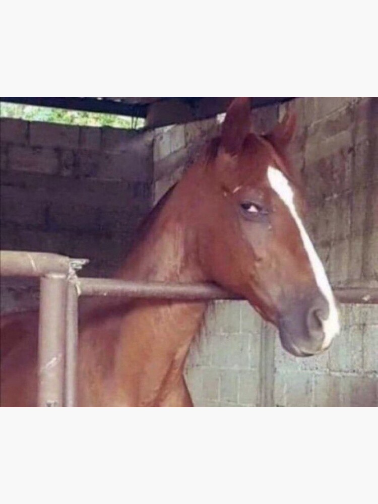 "Sus Horse" Sticker by Crows-Concepts | Redbubble