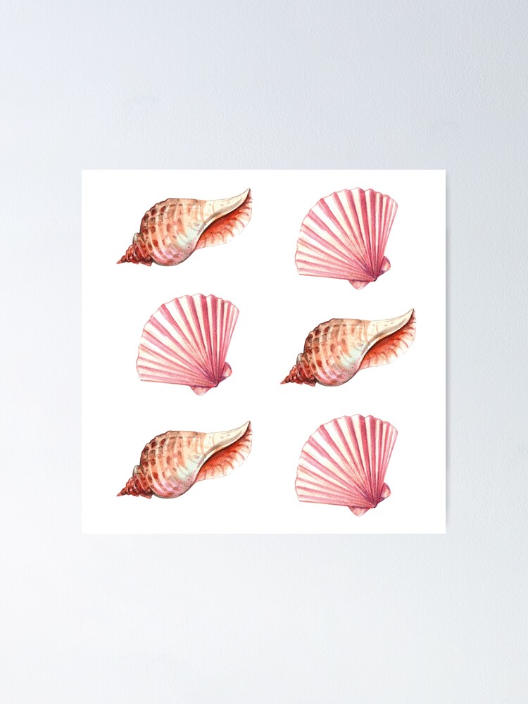"Pink seashells pack Coconut girl aesthetic" Poster for Sale by ...