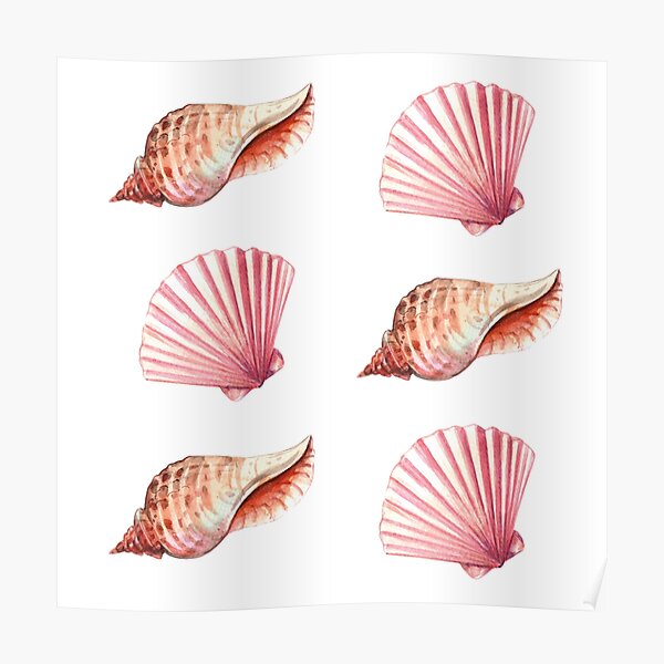 "Pink seashells pack Coconut girl aesthetic" Poster for Sale by ...