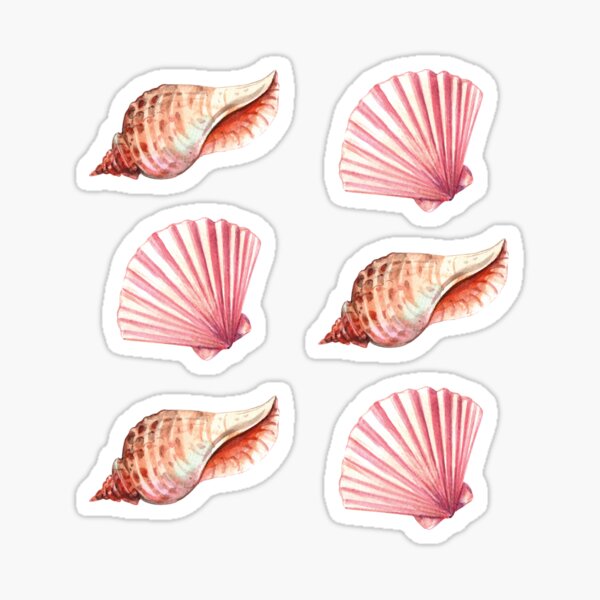"Pink seashells pack Coconut girl aesthetic" Sticker for Sale by ...