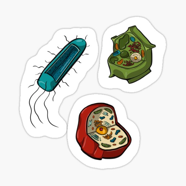 "Cells" Sticker for Sale by alexandriamar | Redbubble