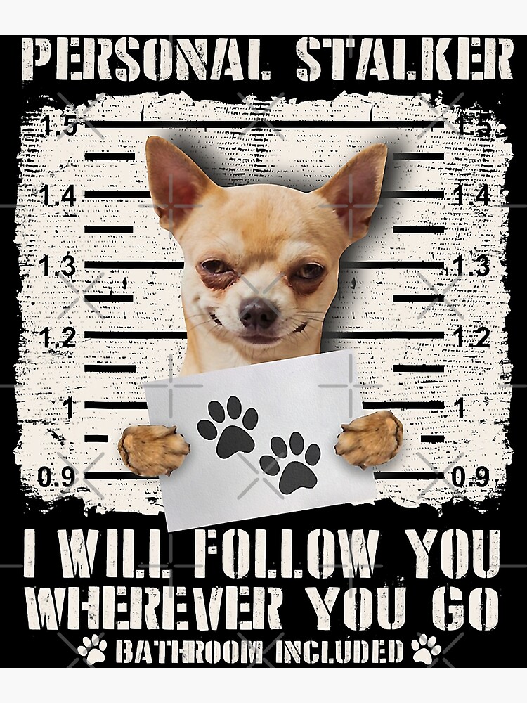 "Personal Stalker Chihuahua Dog Arrested Jail Photo" Poster for Sale by ...