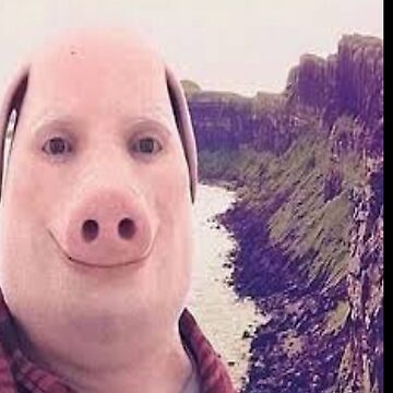 "technoblade face reveal" Photographic Print for Sale by bestizeyy ...