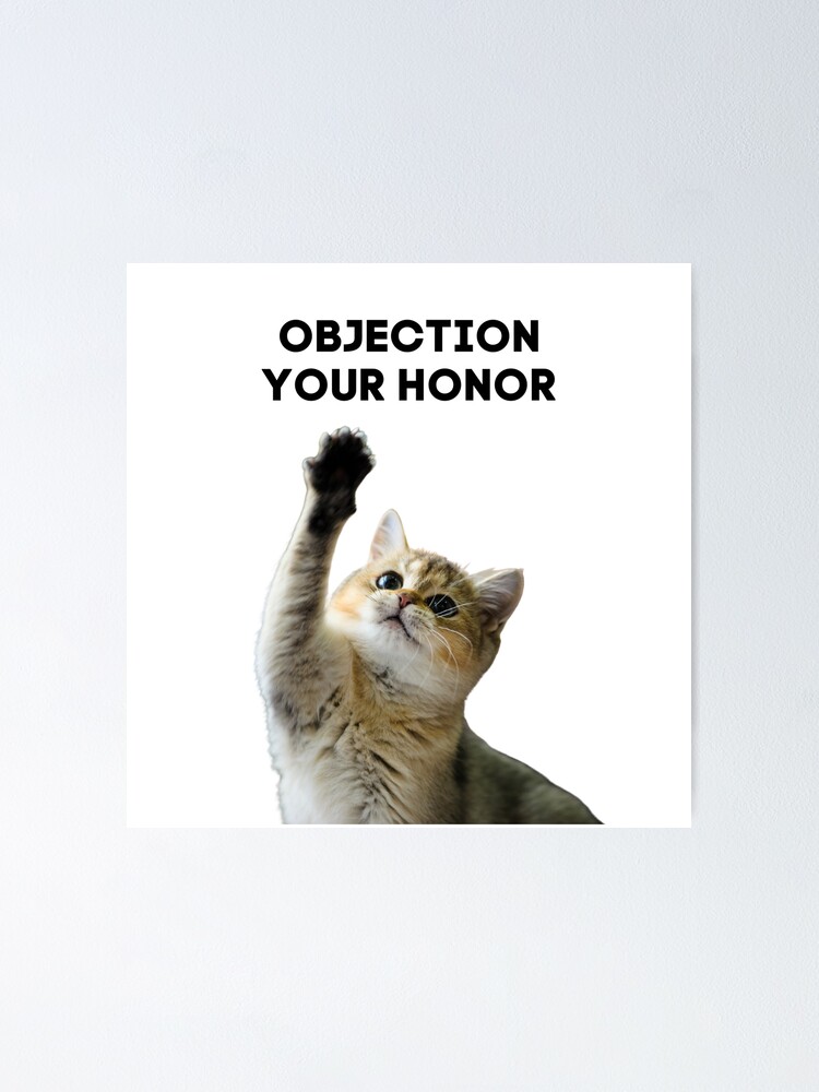 "Objection Your Honor - Funny Cat in Court Memes" Poster for Sale by magicmimi | Redbubble