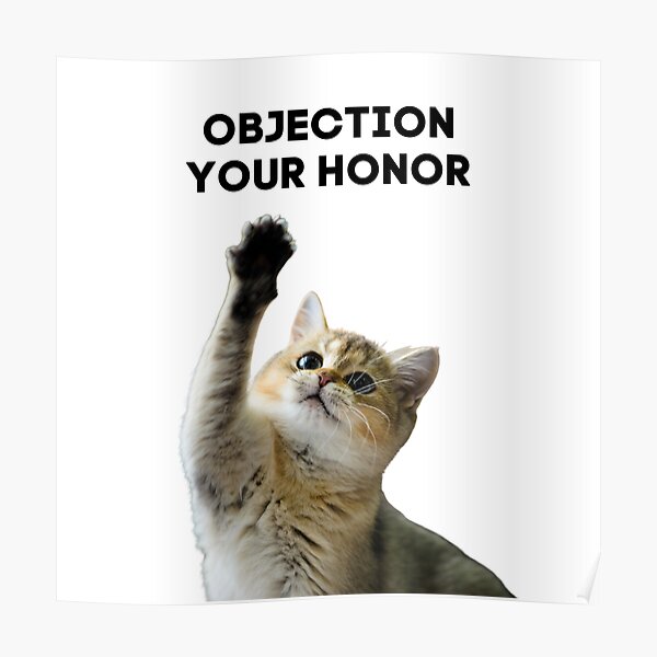 "Objection Your Honor - Funny Cat in Court Memes" Poster for Sale by ...