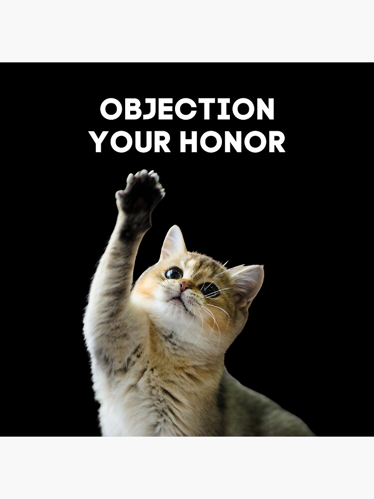 "Objection Your Honor - Funny Cat in Court Memes" Poster for Sale by magicmimi | Redbubble
