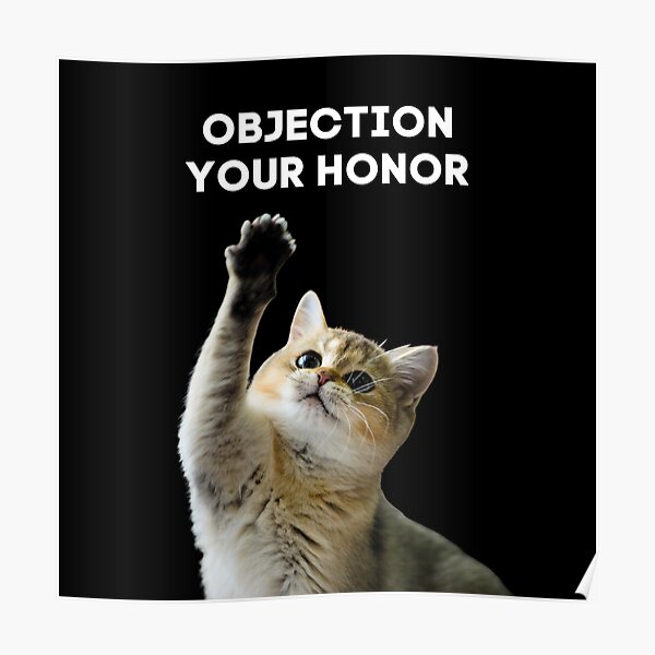 "Objection Your Honor - Funny Cat in Court Memes" Poster for Sale by ...