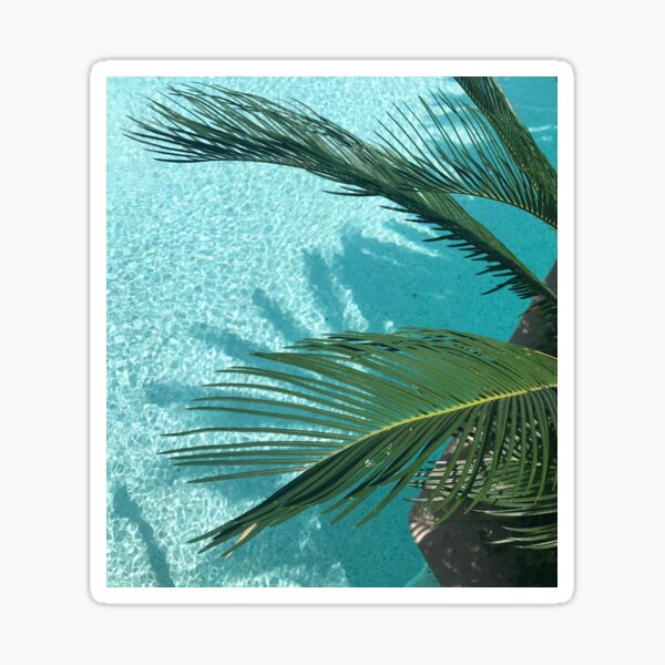 "Sunny Summer Pool Aesthetic Wallpaper" Sticker by Levated | Redbubble