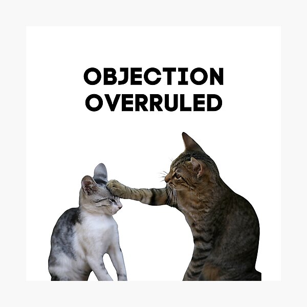 Lámina fotográfica «Objeción anulada - Funny Cat in Court Memes» de ...