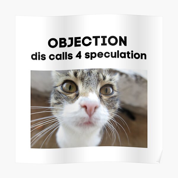 "Objections Calls For Speculation - Funny Cat in Court Memes" Poster ...