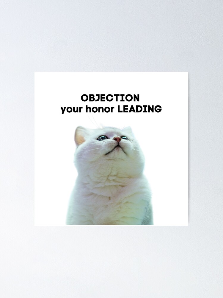 "Objection Leading - Funny Cat in Court Memes" Poster for Sale by ...
