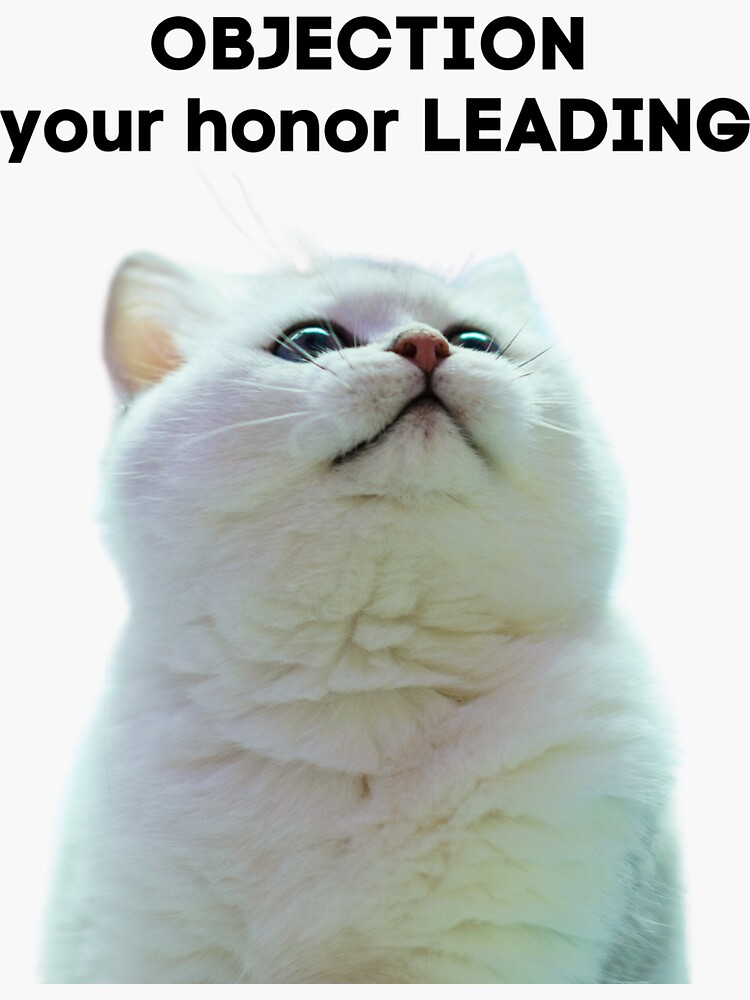 "Objection Leading - Funny Cat in Court Memes" Sticker for Sale by ...