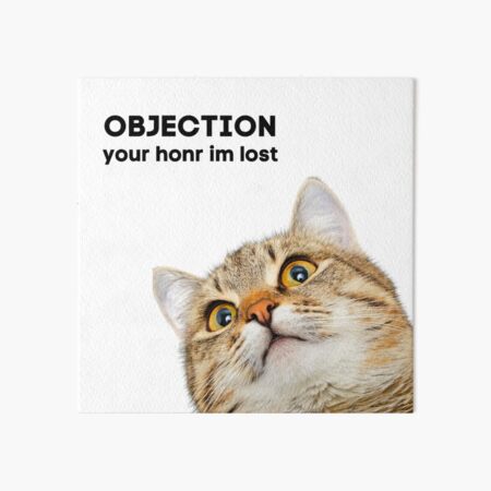 "Objection Your Honor - Funny Confused Cat in Court Memes" Art Board ...