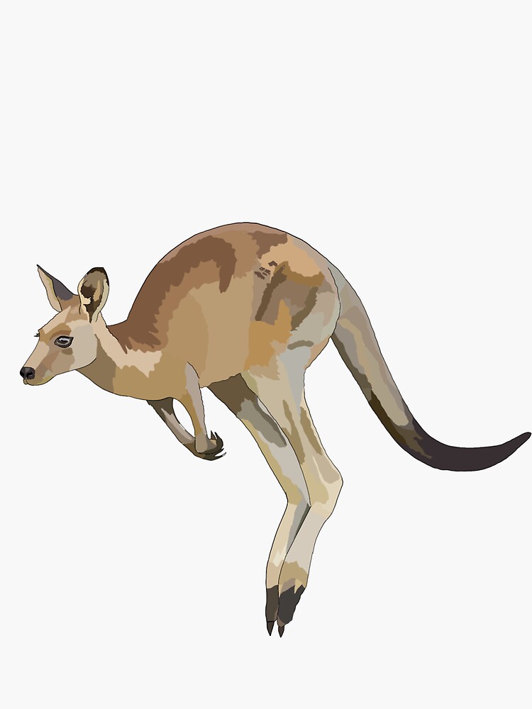 "Realistic Jumping Kangaroo / Australian wildlife / kangaroo jack ...