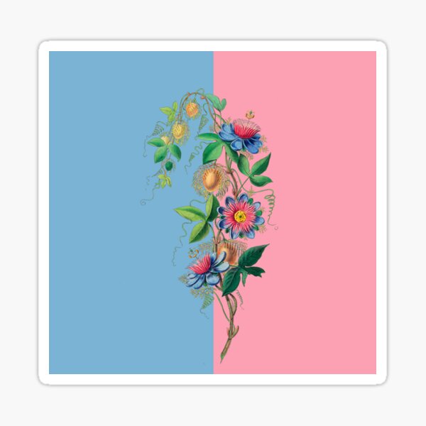 "Pink and Blue Colorblock with Vintage Flowers" Sticker for Sale by ...