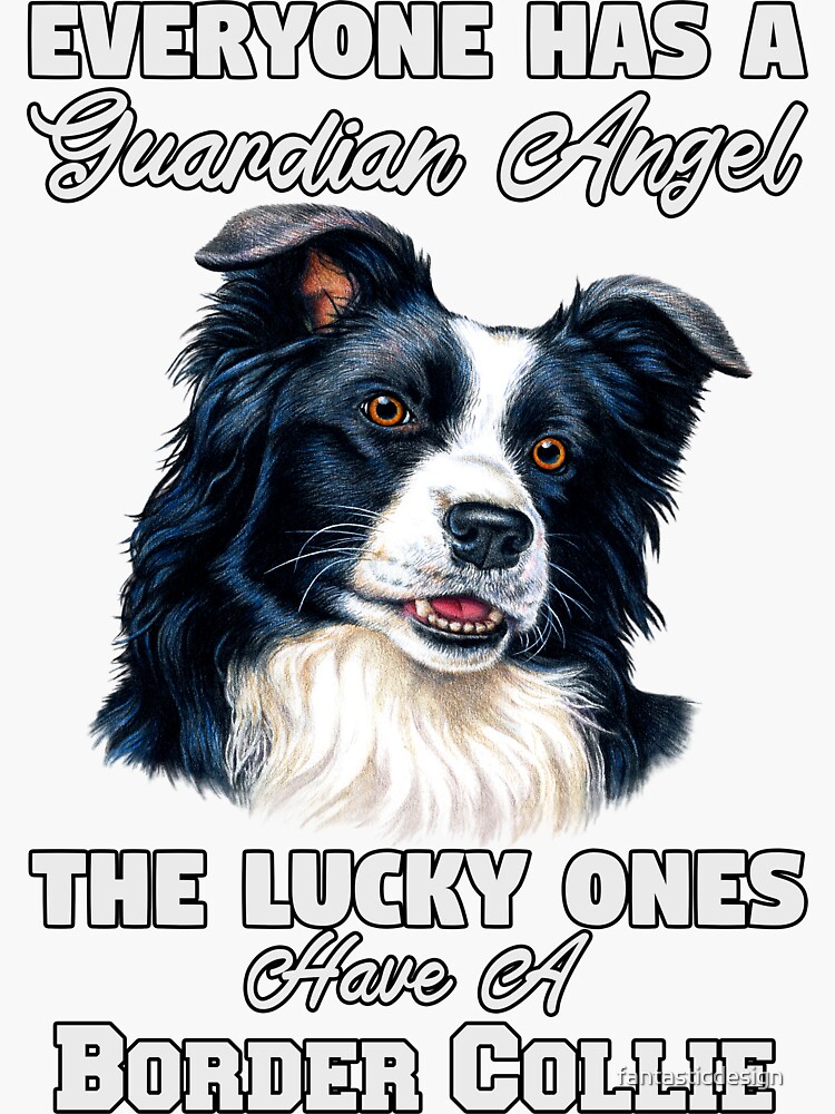 "Border Collie Dog Lovers Everyone Has A Guardian Angel" Sticker for ...
