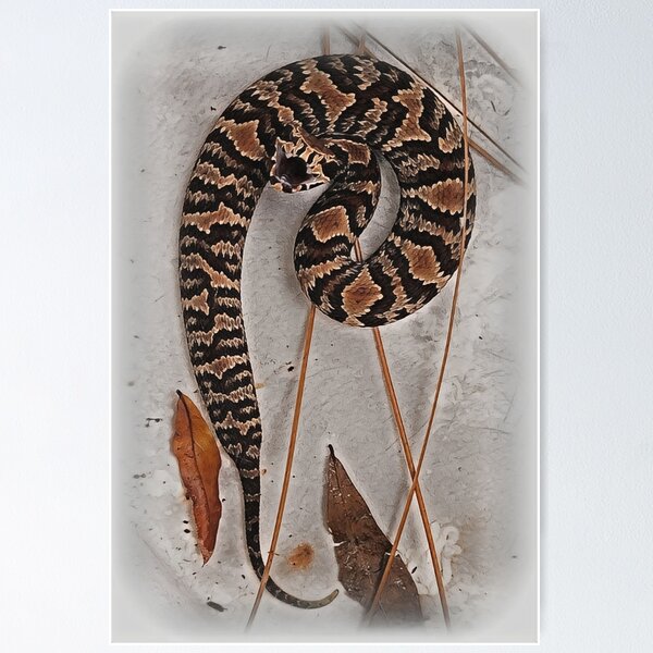 Yearling Merch & Gifts for Sale | Redbubble