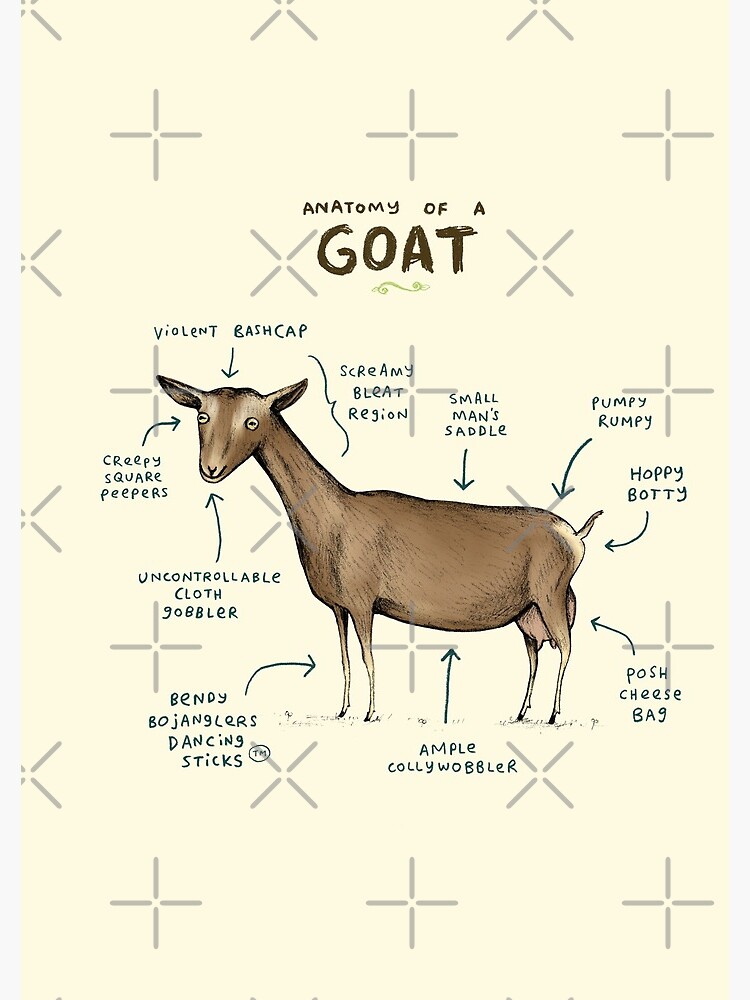 Goat Accents: Do They Have Them and Why? - Goat Journal ...