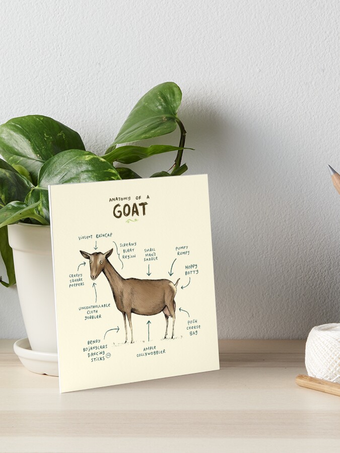"Anatomy of a Goat" Art Board Print for Sale by SophieCorrigan | Redbubble