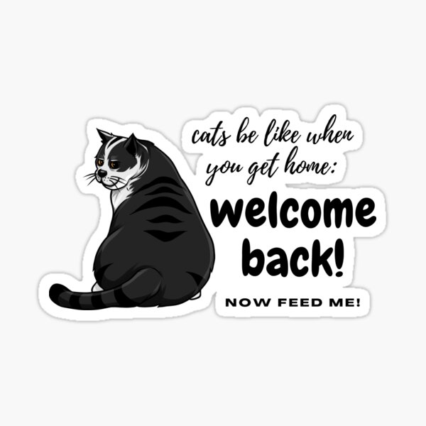 "Welcome home (cat)" Sticker for Sale by UpandUp0227 | Redbubble