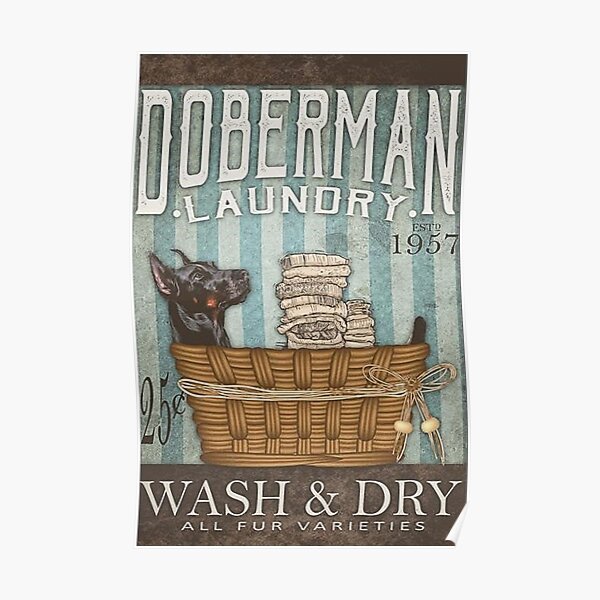 "Doberman Pinschers laundry wash and dry all fur varieties" Poster by ...