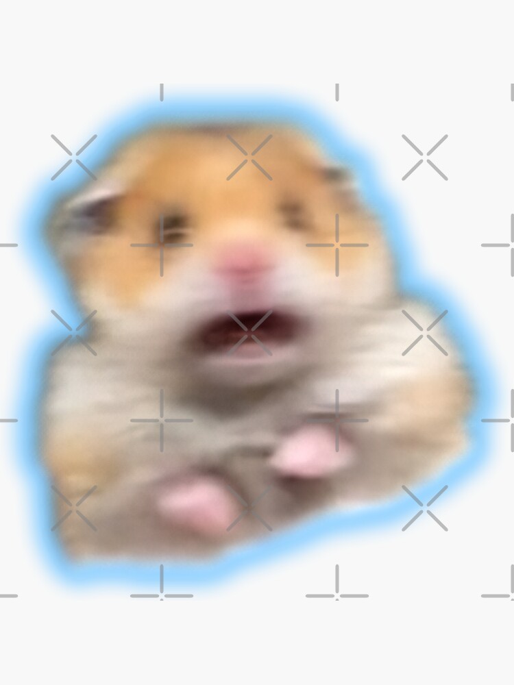 "Scared Hamster Meme Repeating Pattern" Sticker by meme-worthy | Redbubble